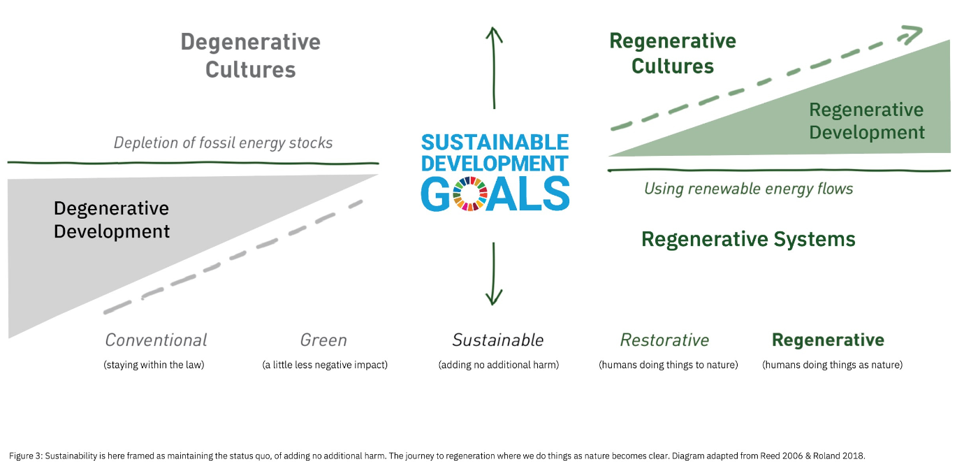 What is Regeneration? – Alcheme Tech